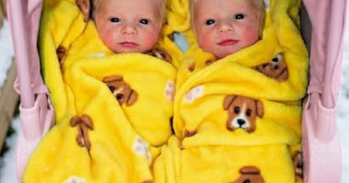 À 16 ans, mon fils est rentré avec deux nourrissons dans les bras ...