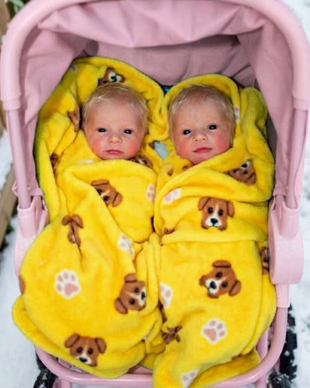 À 16 ans, mon fils est rentré avec deux nourrissons dans les bras ...